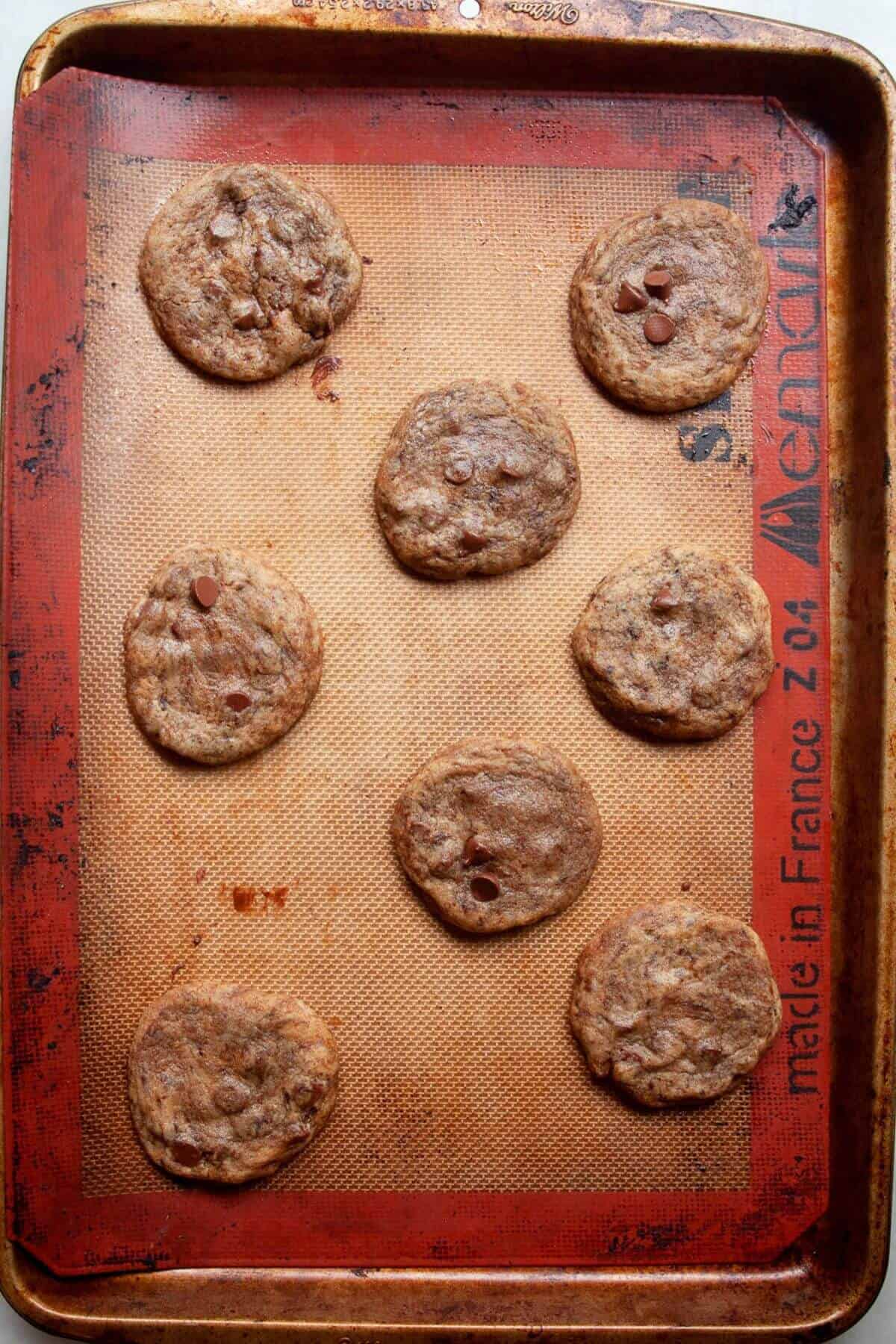 Chewy Coffee Cookies - Healthful Blondie