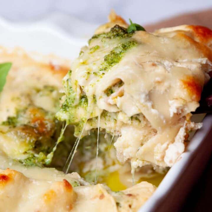 Chicken and Broccoli Lasagna - Healthful Blondie